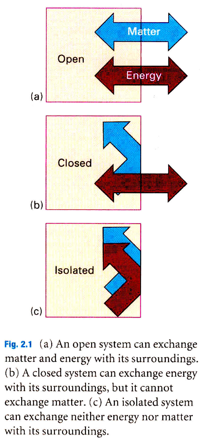 Ppt Chapter 18 Sampling Distribution Models And The Central Limit Ppt Chapter 18 Sampling Distribution Models And The Central Limit